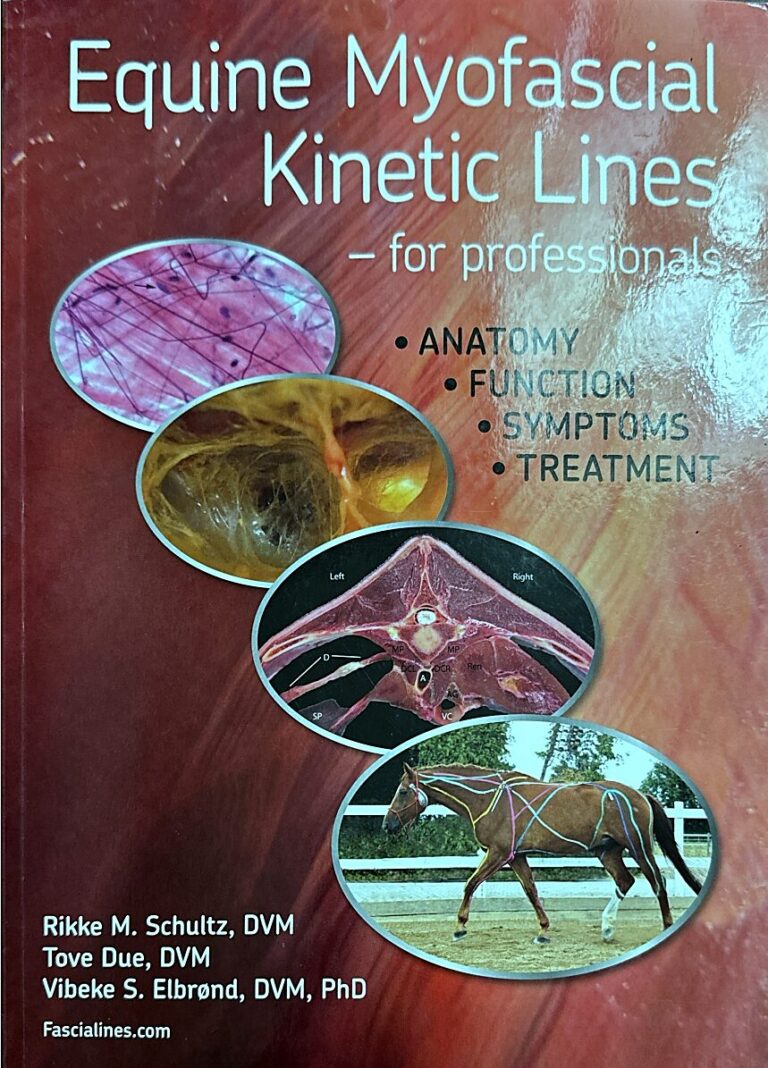 Kinetic Myo-Fascial Lines Clinic: 2 day - Langley Equine Studies